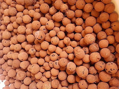 Hydroton Clay Pellets LECA — Whole Leaf Healing Tree