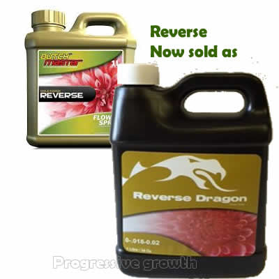 Reverse Dragon — Whole Leaf Healing Tree