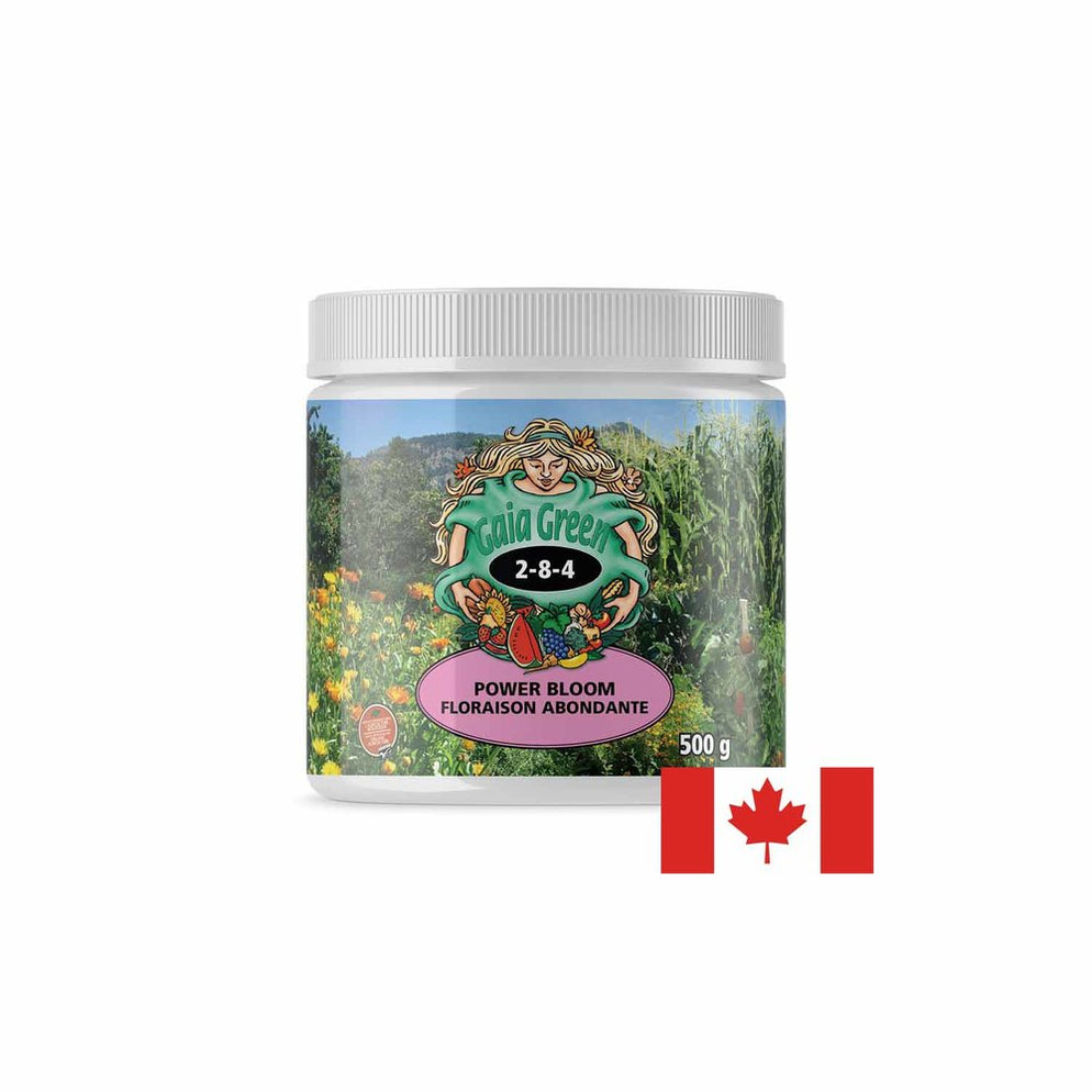 Whole Leaf Healing Tree Online Store