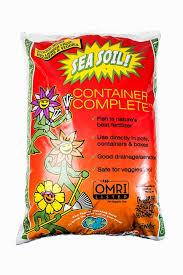 Sea Soil Container Complete — Whole Leaf Healing Tree